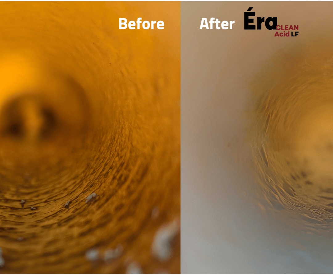 Éra Clean Acid LF - Ulysse Biotech